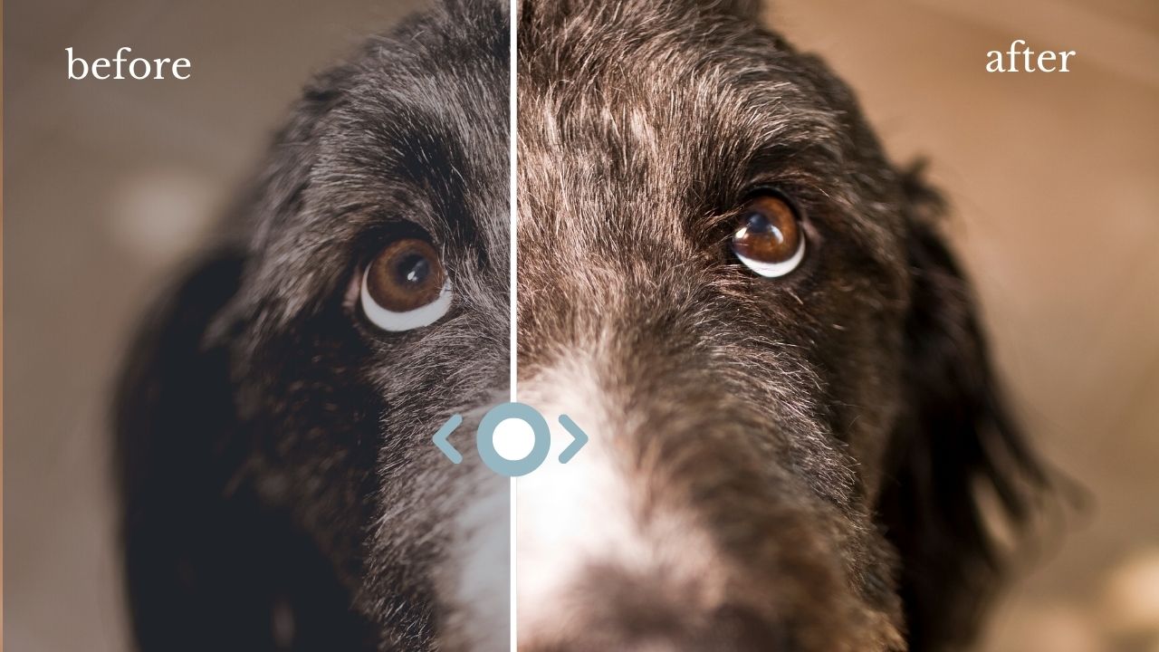 Print Enhancement Service – HappyMoose Blog